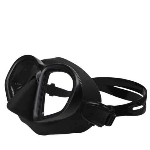 Free Snorkeling E-guide – Oceans Optics