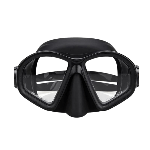 Free Snorkeling E-guide – Oceans Optics